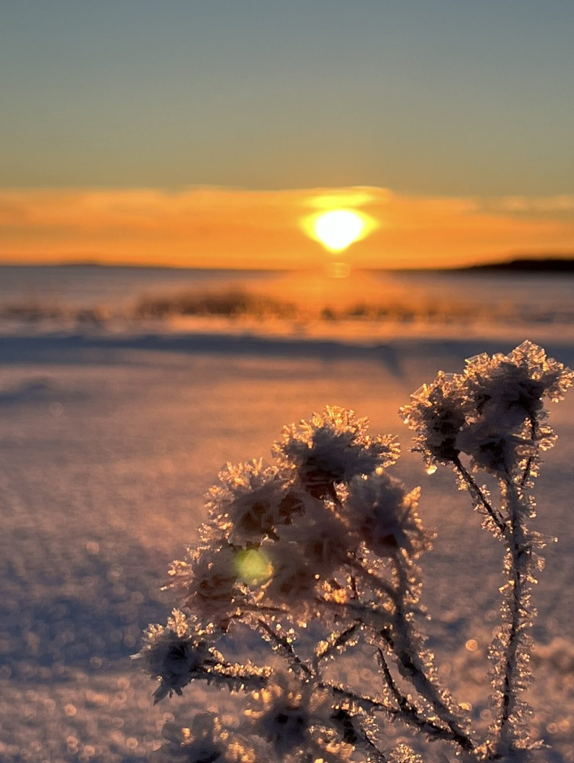Välkommen till Susannes Skafferi